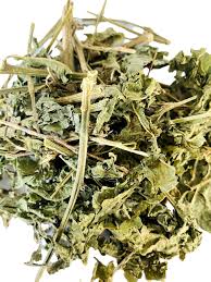 Anamu (Gully Root) – A Cute Wellness Co